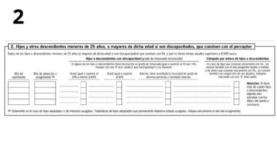 Modelo 145 Para Rellenar y Guardar en PDF y Word (2024)